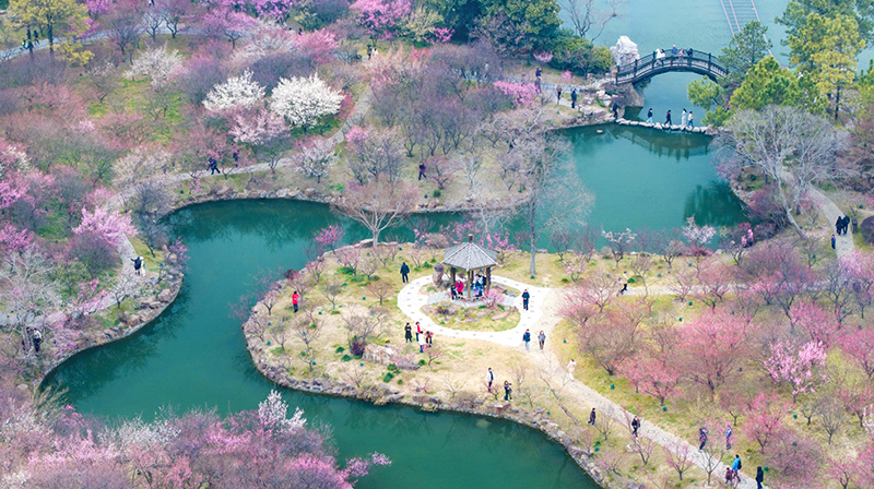 Jiangsu Provincial People‘s Government News Center Spring scenery in ...